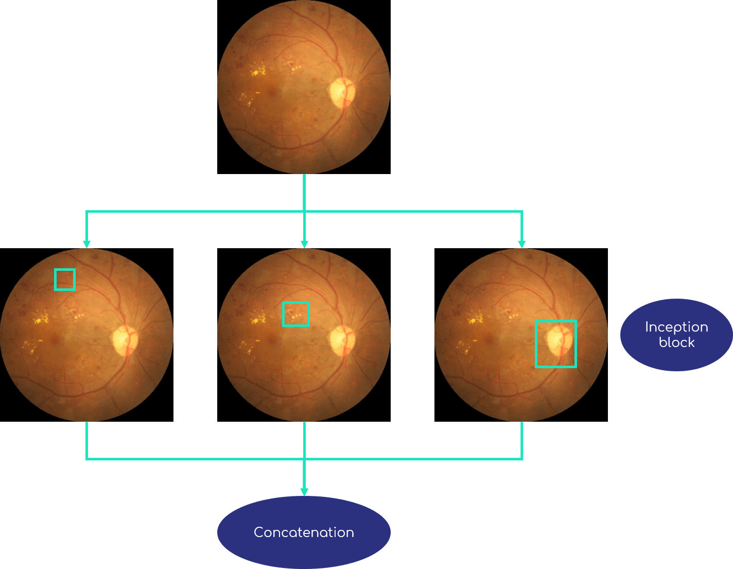 neural-network-architectures-for-image-classification